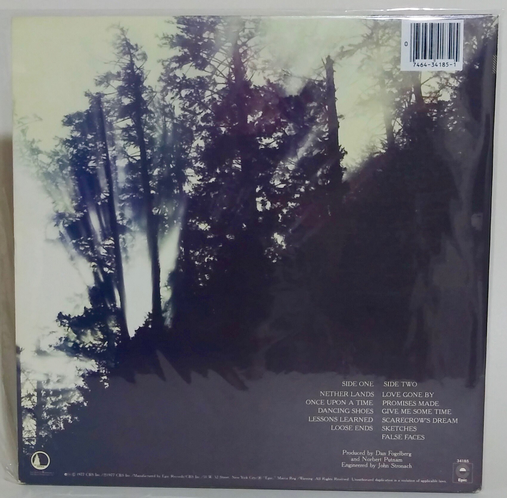 Dan Fogelberg Nether Lands Full Moon Epic Records PE 34185 - Etsy