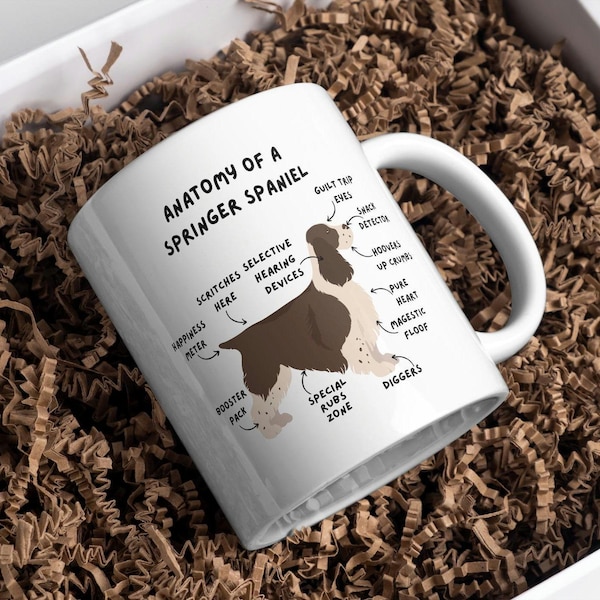 Springer Spaniel Gifts - 60+ Gift Ideas for 2026