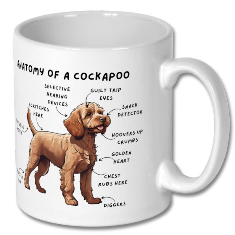 Cockapoo Mug. 10oz Ceramic Mug. Anatomy of a Cockapoo. Cute Cockapoo ...