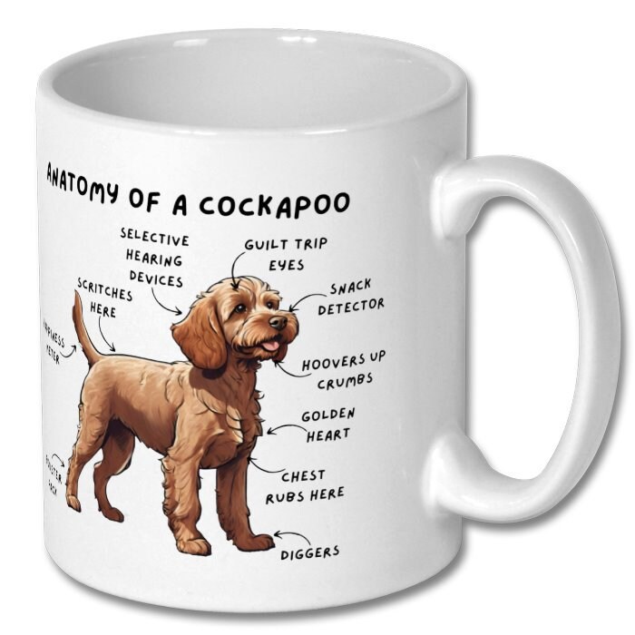 Cockapoo Mug. 10oz Ceramic Mug. Anatomy of a Cockapoo. Cute Cockapoo ...