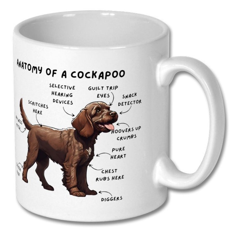 Cockapoo Mug. 10oz Ceramic Mug. Anatomy of a Cockapoo. Cute Cockapoo ...