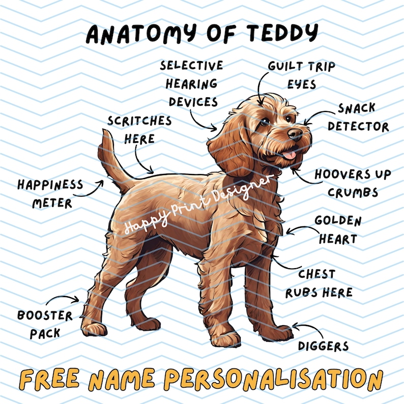 Cockapoo Mug. 10oz Ceramic Mug. Anatomy of a Cockapoo. Cute Cockapoo ...