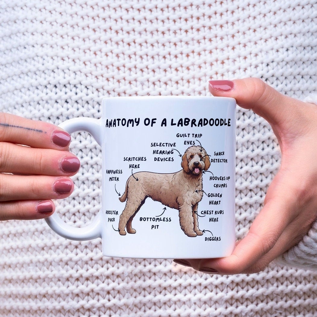 Labradoodle Mug. 10oz Ceramic Mug. Anatomy of a Labradoodle. Cute ...