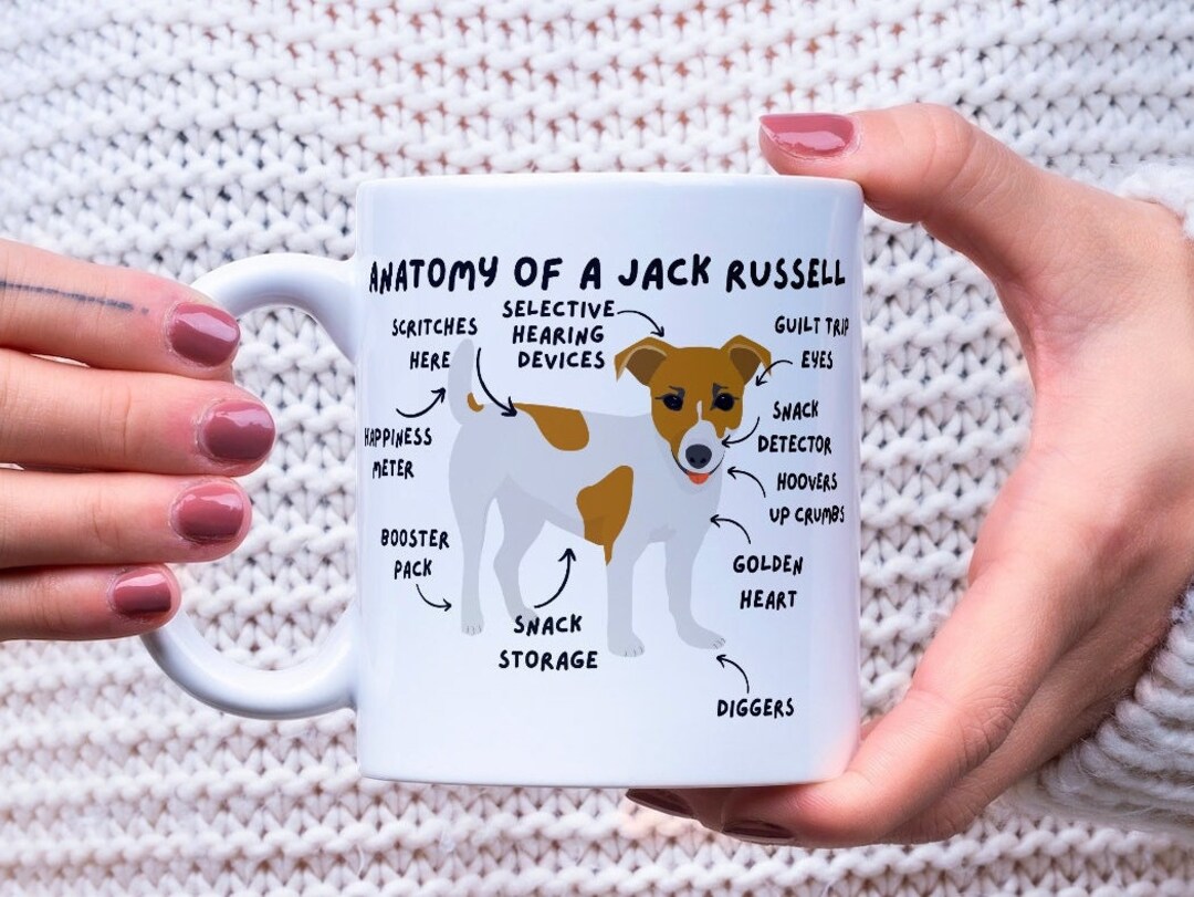 Jack Russell Mug. 10oz Ceramic Mug. Anatomy of a Jack Russell. Gift for ...