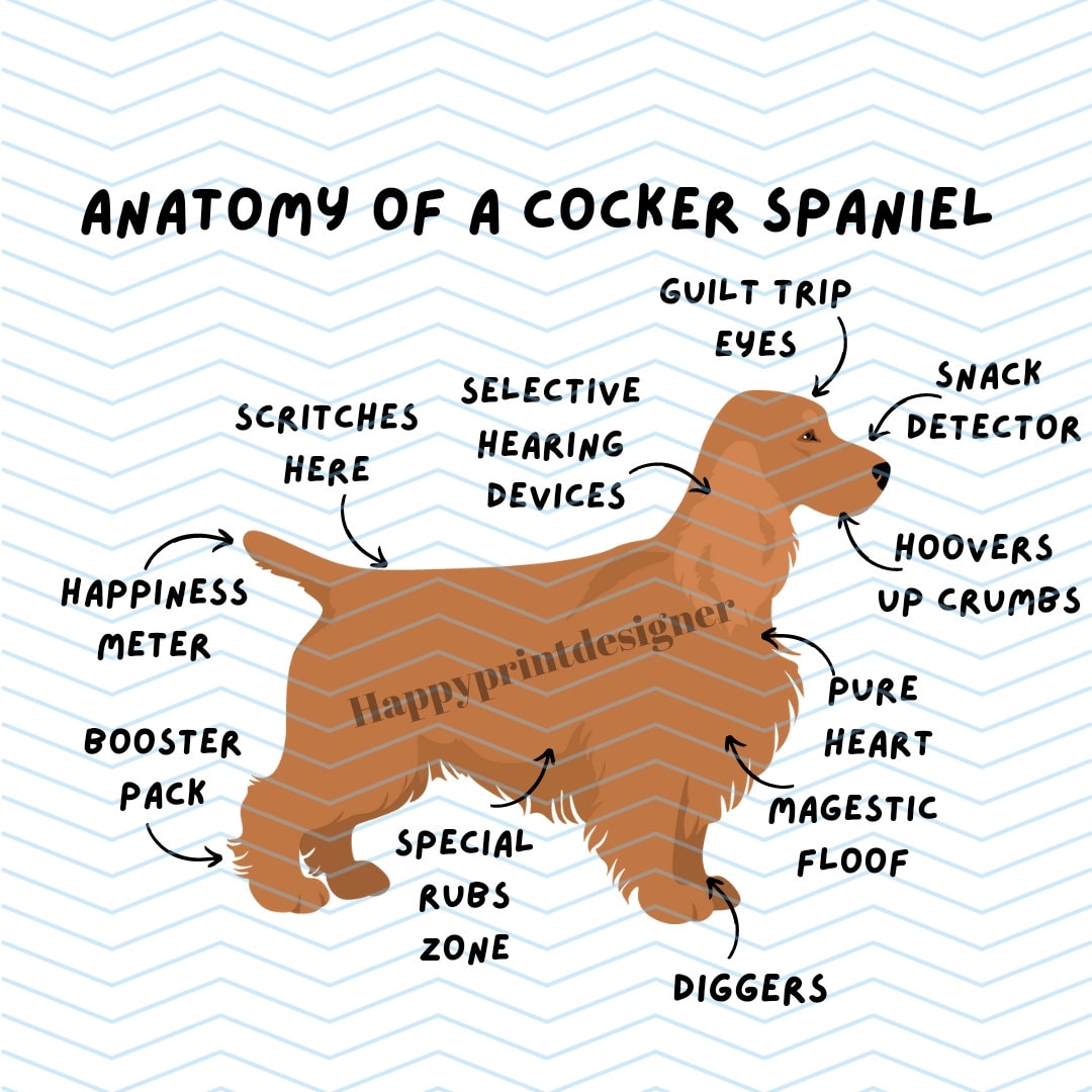 Anatomy of a Cocker Spaniel Mug - Funny Dog Lover Gift - Etsy