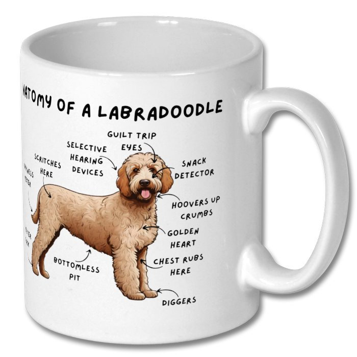 Labradoodle Mug. 10oz Ceramic Mug. Anatomy of a Labradoodle. Cute ...