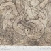 Snake Collograph Print-nest of Vipers-neutral Scary Art-9 X - Etsy