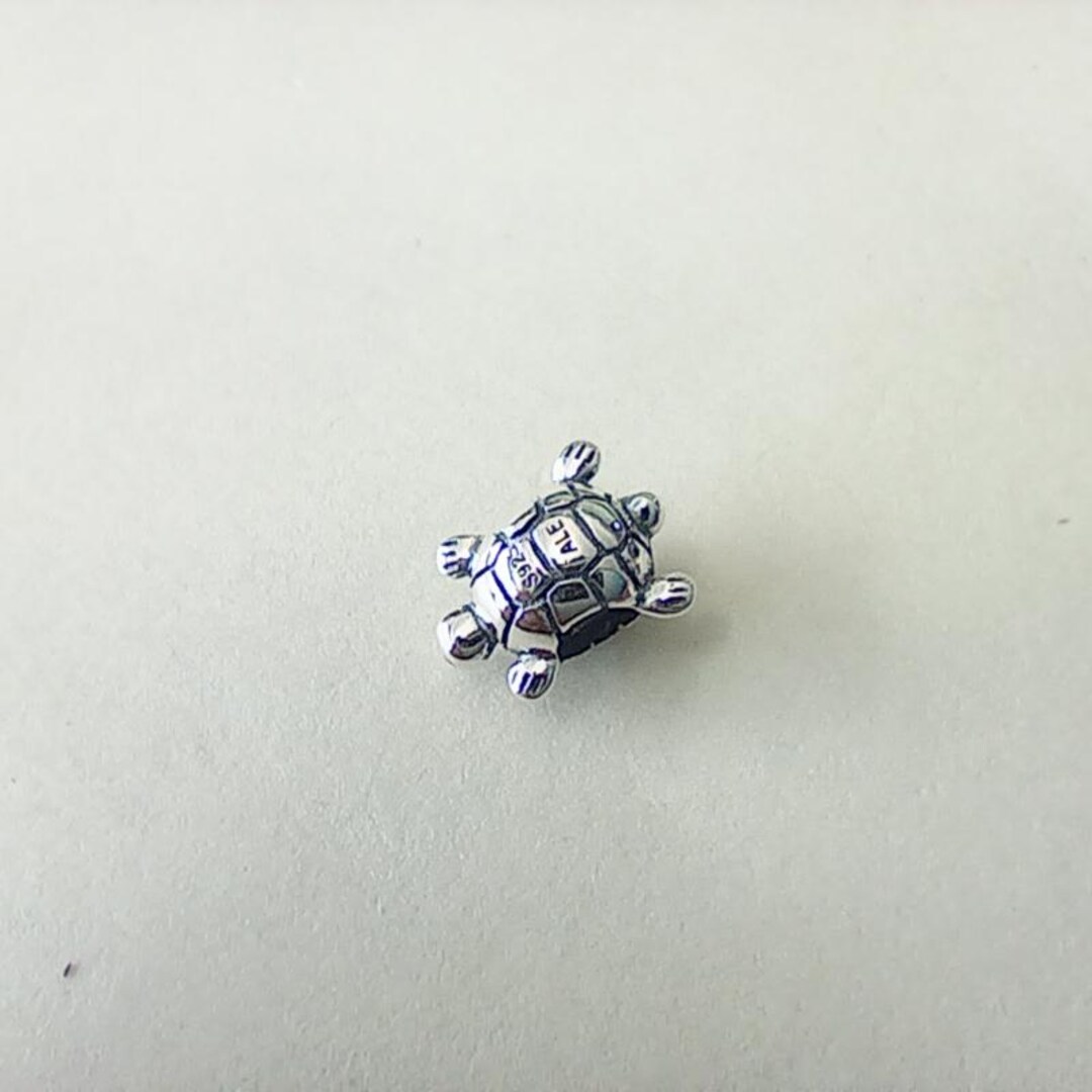 Pandora Turtle Charm - Etsy