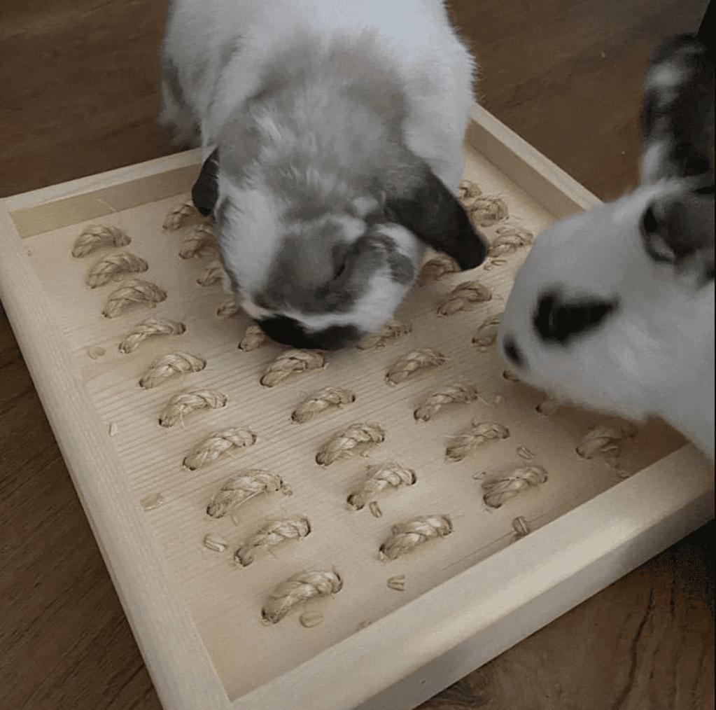 Handmade Bunny Dig Box – Sisal Rope Rabbit Toy, Chew-safe Solid Pine ...