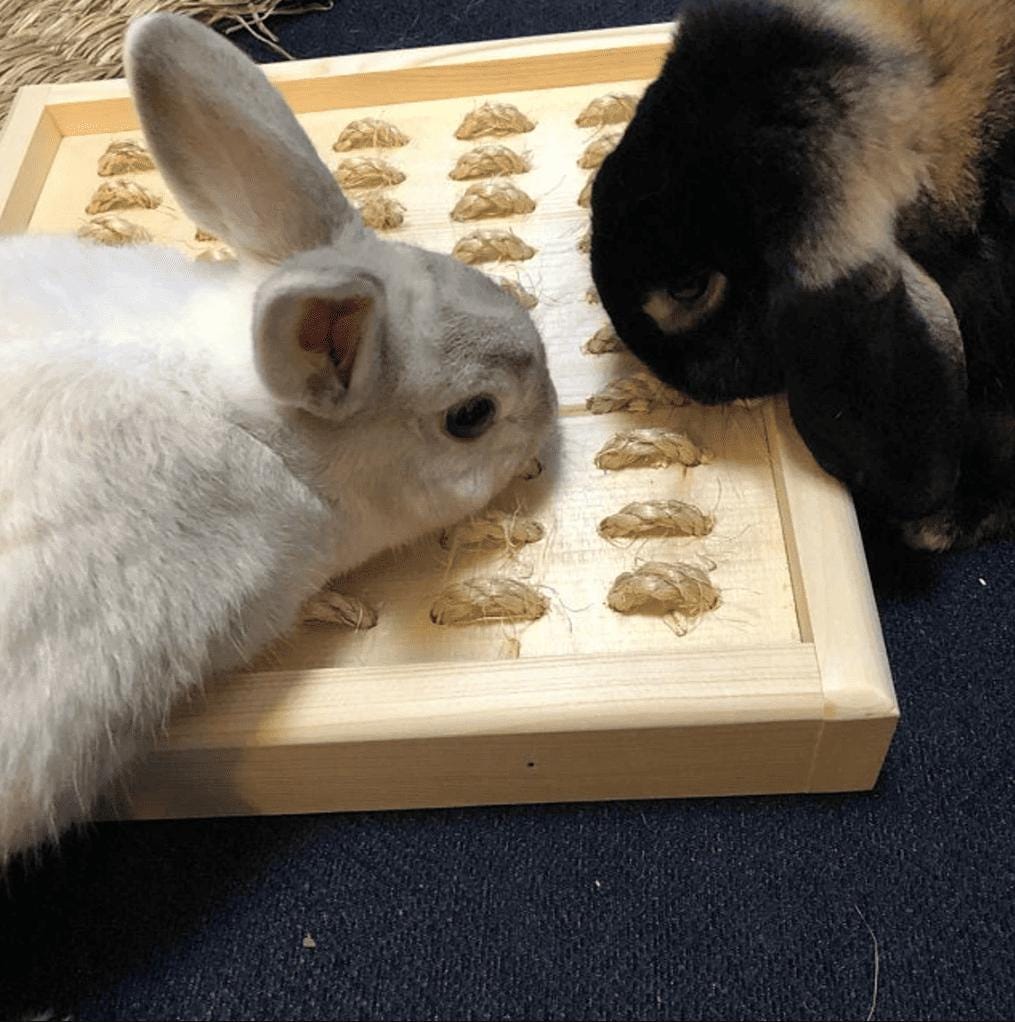 Handmade Bunny Dig Box – Sisal Rope Rabbit Toy, Chew-safe Solid Pine ...