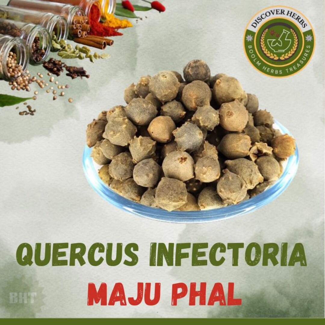 Maju Phal Powder: Quercus Infectoria, Manjakani - Magic Nut by BHT - Etsy