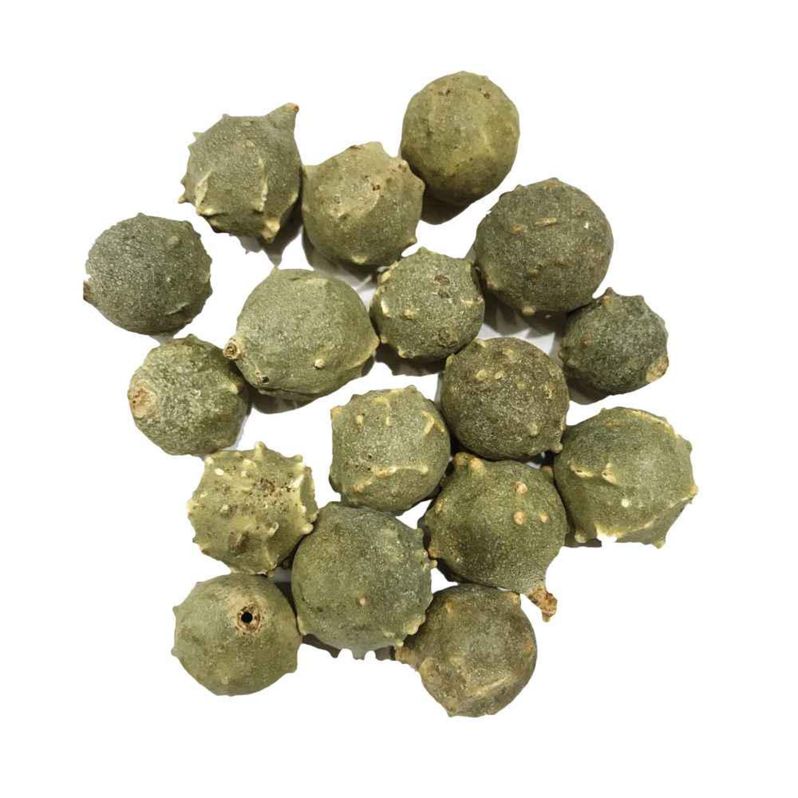 Maju Phal Powder: Quercus Infectoria, Manjakani - Magic Nut by BHT - Etsy