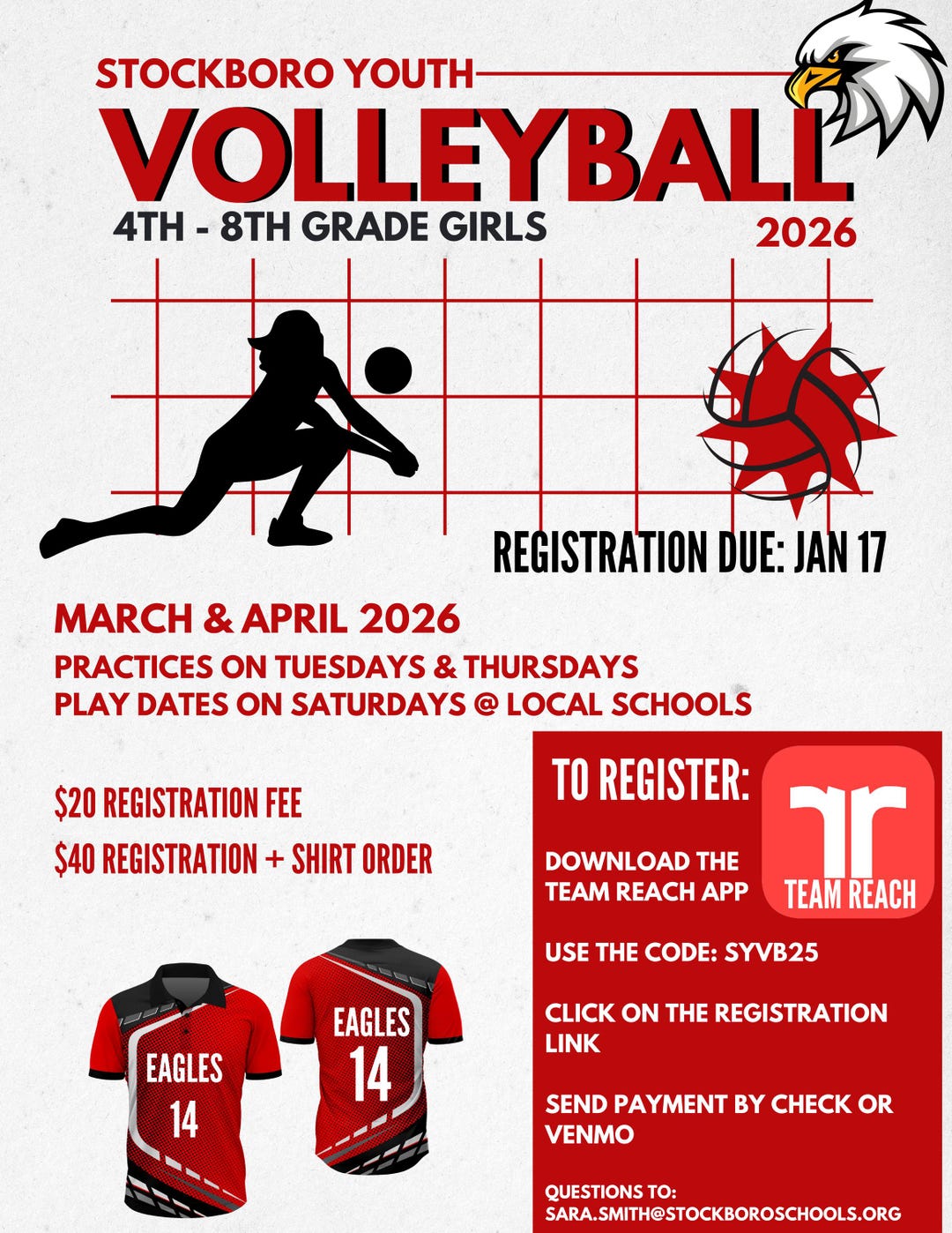 Volleyball Sign-up Flyer - Etsy