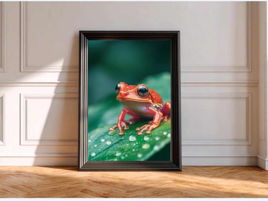 Red Tree Frog Wall Art: Costa Rica Rainforest Animal Portrait, Realism ...