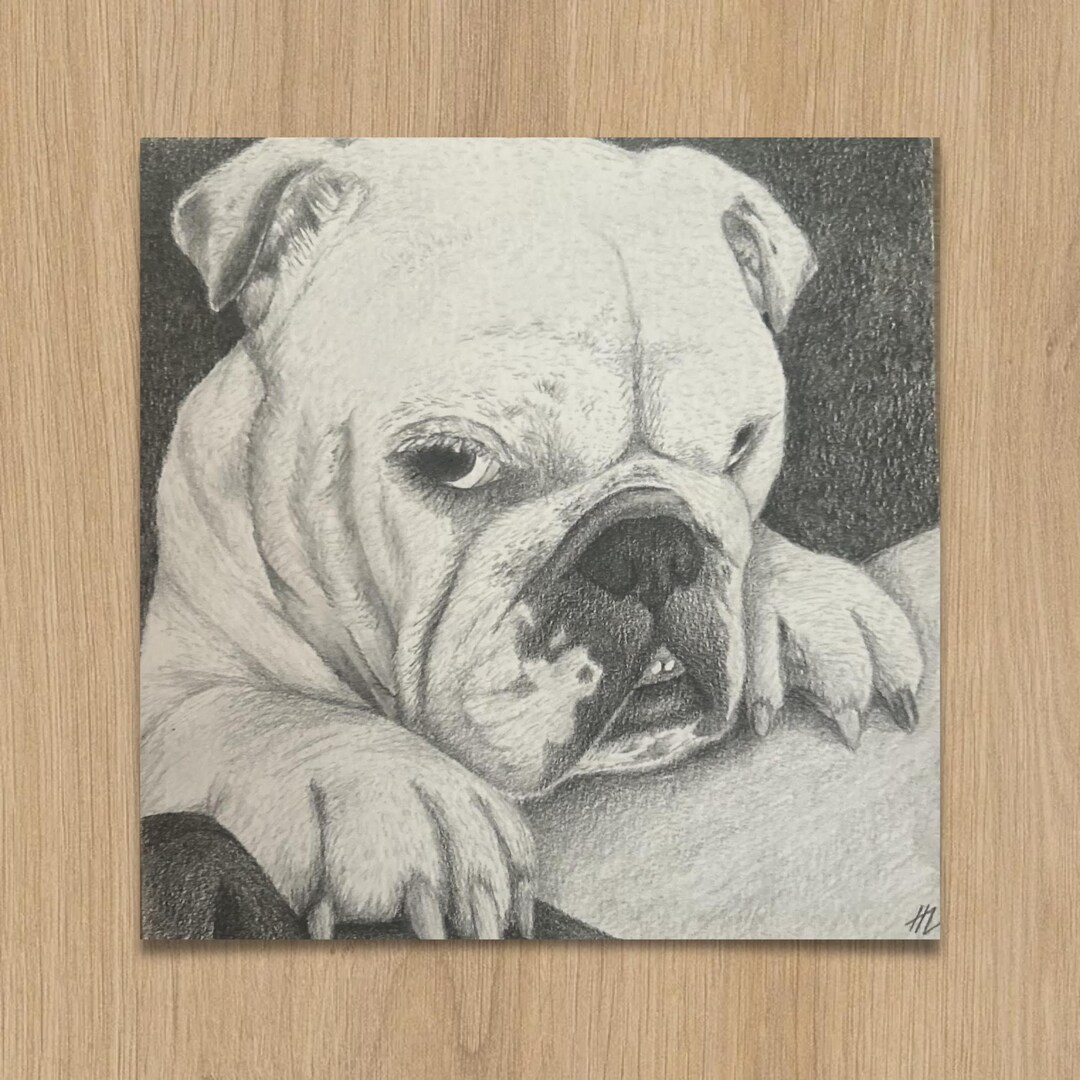 Custom Pet Portrait: Hand-drawn Graphite Pet Memorial Art - Etsy