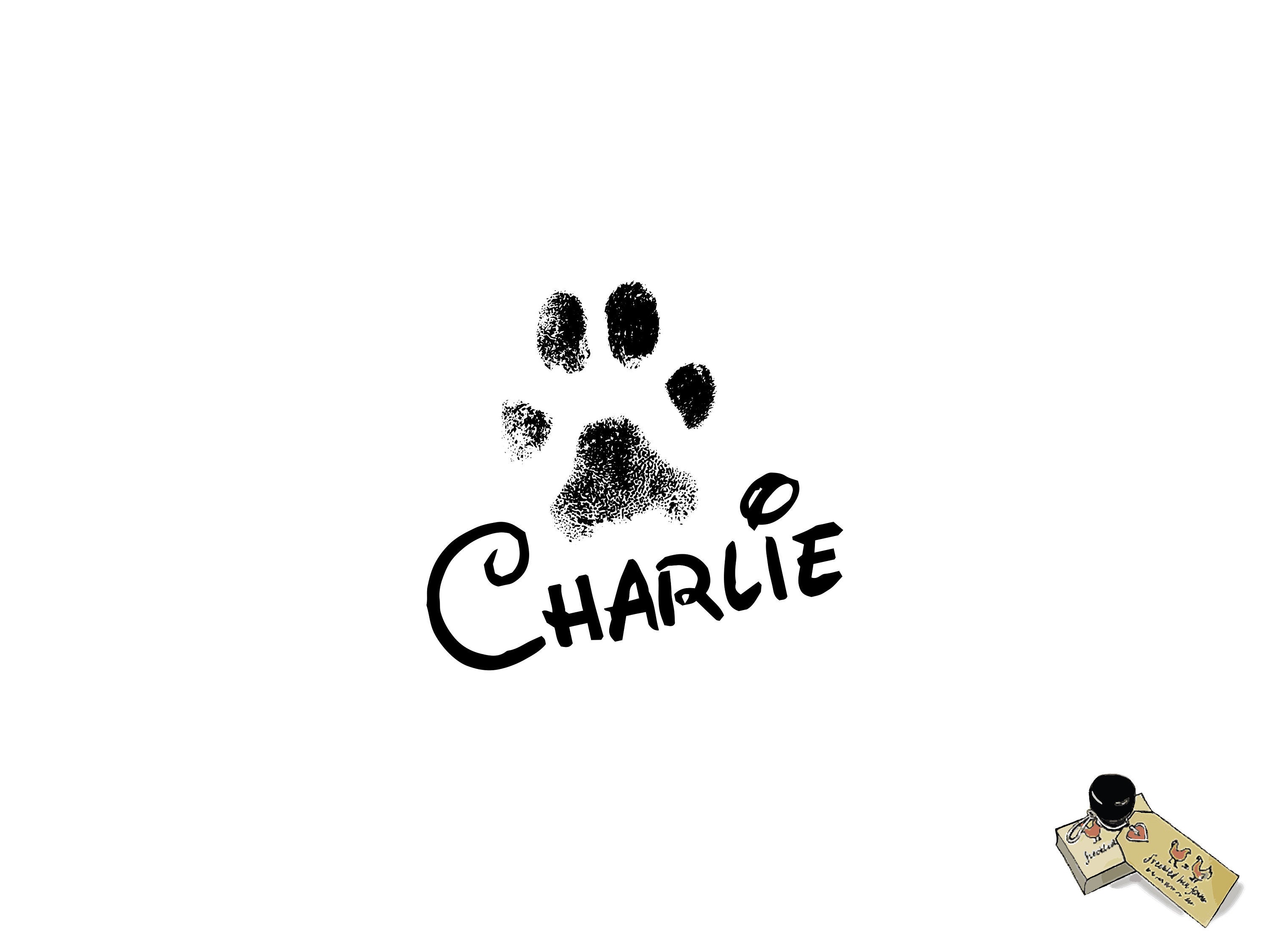 Paw Print Signature Name Animal Family Friend Personalized | Etsy