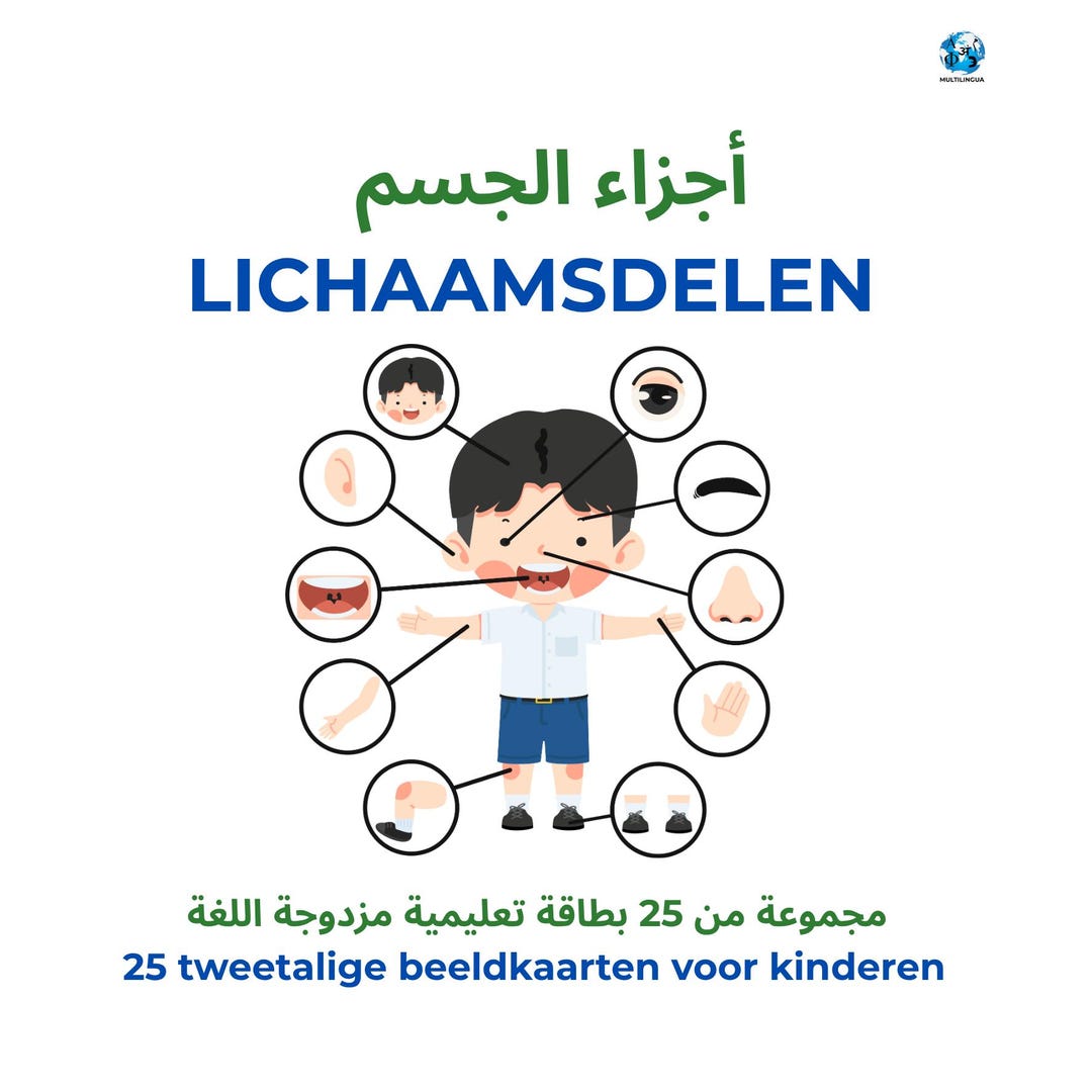 Arabic–dutch Flashcards – Body Parts | Printable PDF for Kids (AR–NL ...