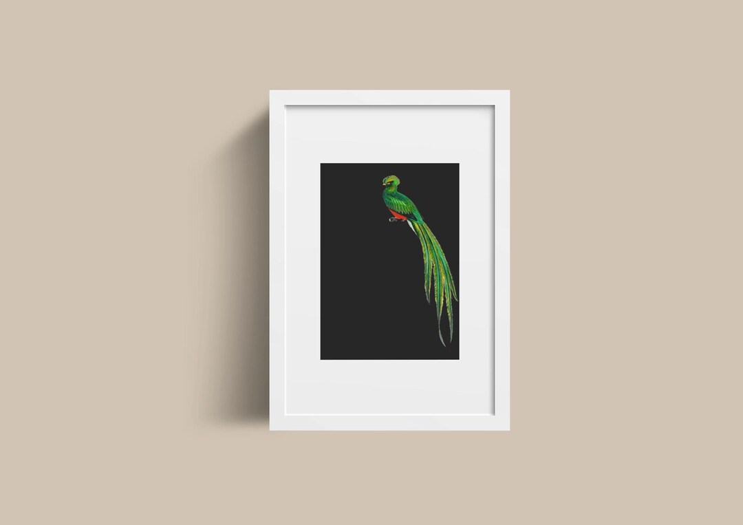 Emerald Quetzal Bird Print – Vintage Green Wall Art – Tropical ...