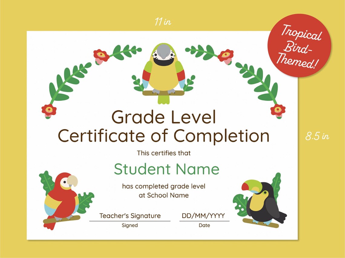 Homeschool & Award Certificate Printable Tropical Birds Theme ...