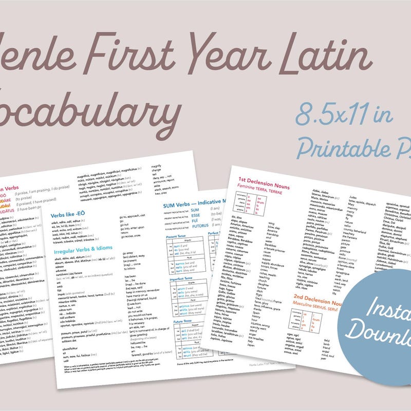 Latin Challenge a Cards - Etsy UK