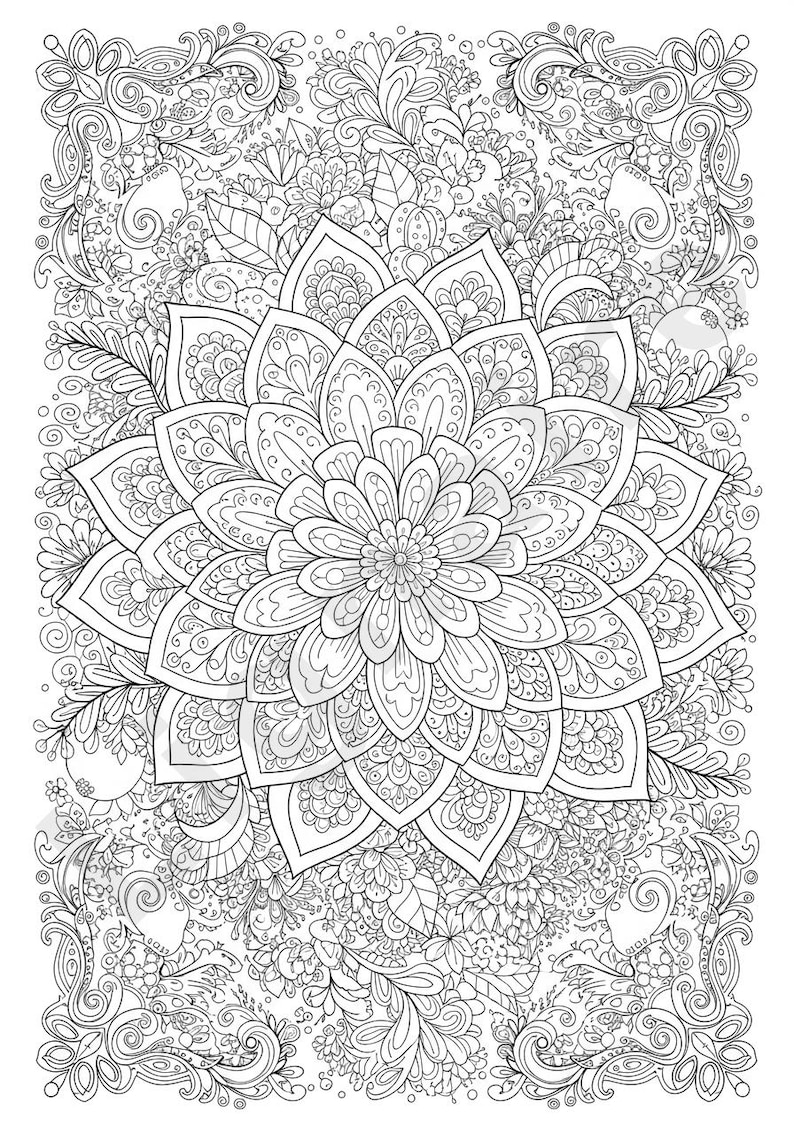 Intricate Coloring Book: 50 Pages of Detailed Patterns and Designs - Etsy