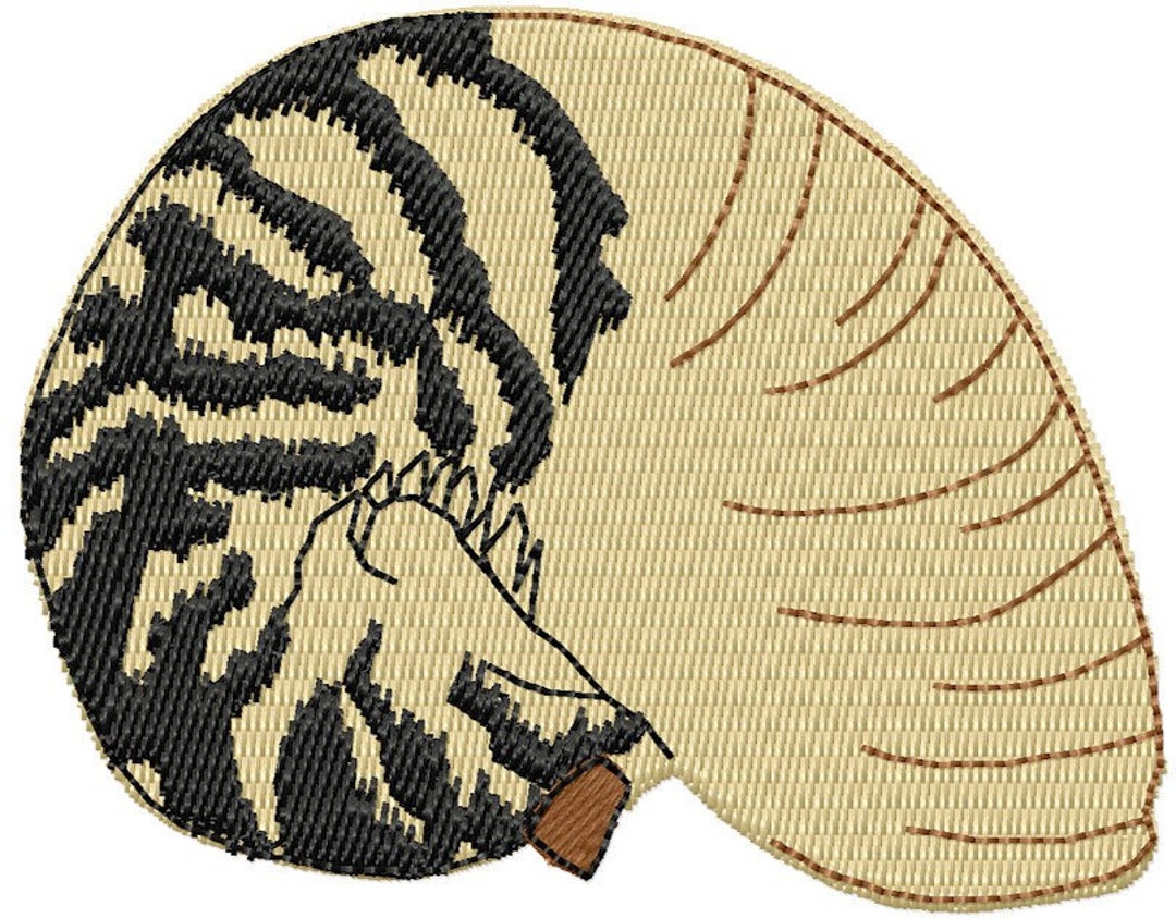 Nautilus Shell - Machine Embroidery Design - Nautilus Embroidery Design ...