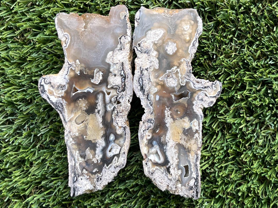 Agatized Coral Geode Pair: Cut & Polished, UV Reactive - Etsy