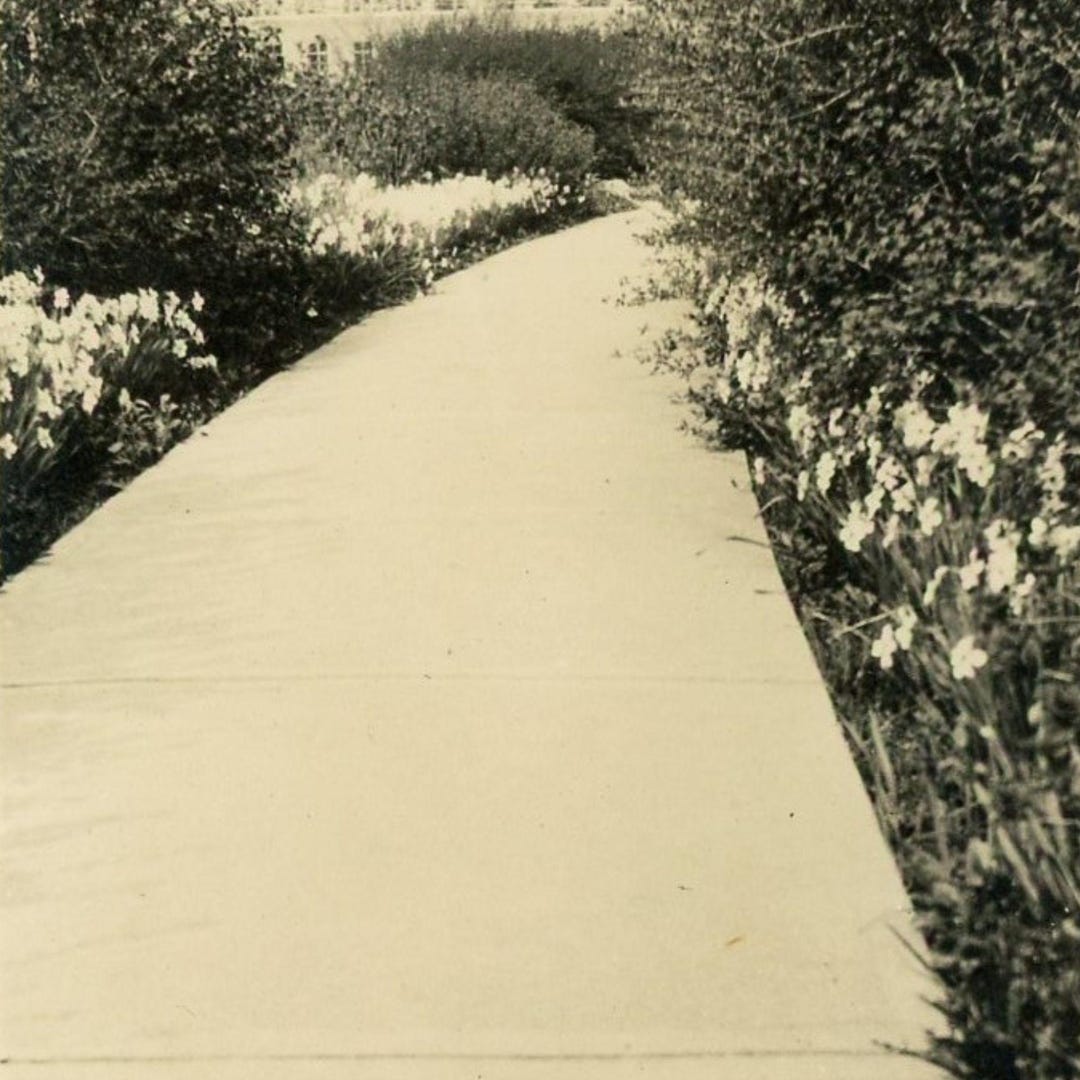 Antique Photograph - "finding the Perfect Path" - Garden Walkway ...