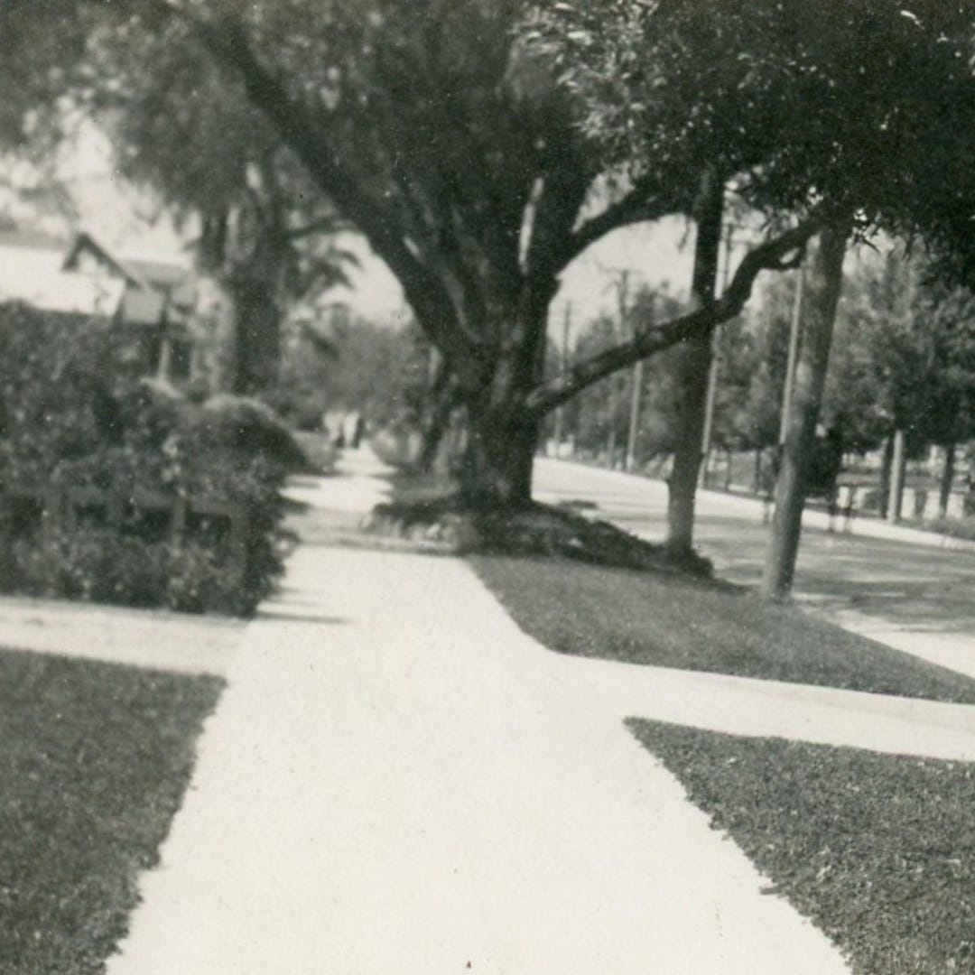 Antique Photograph - "california Sidewalks" - Neighborhood House Home ...