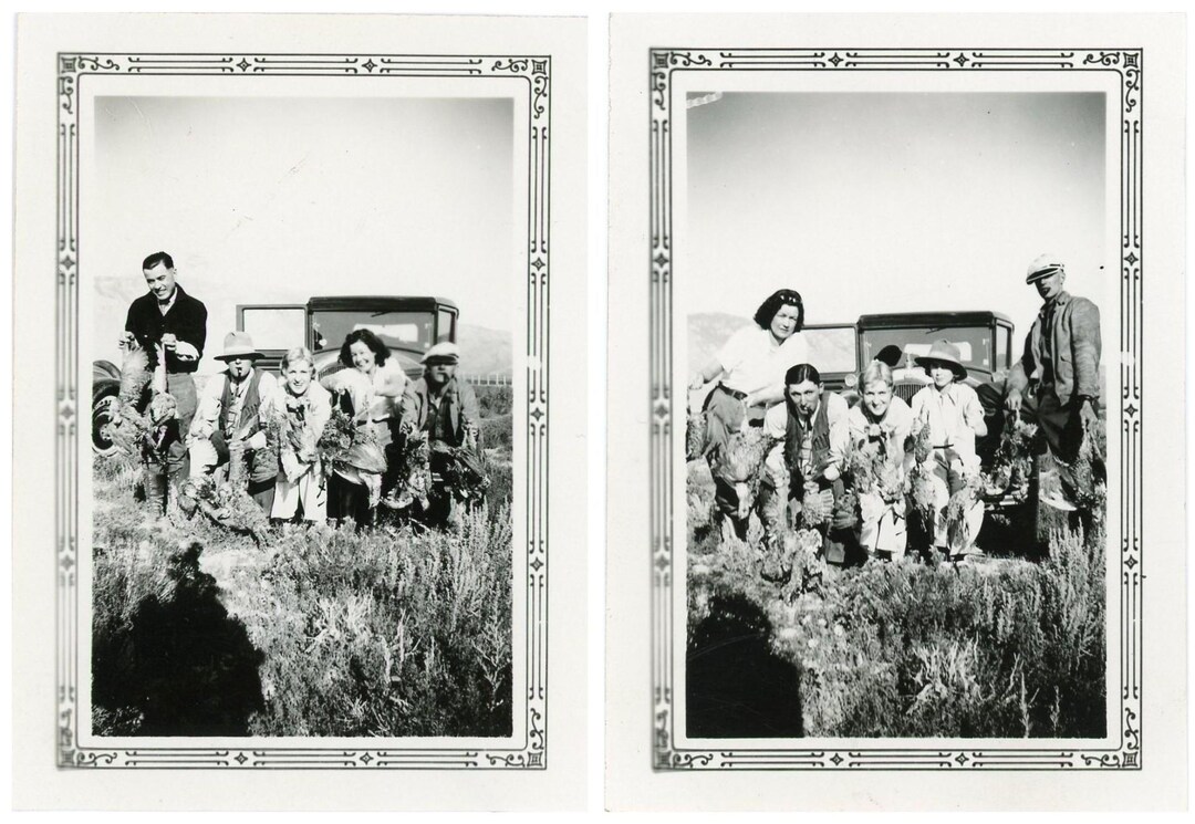 2pc Vintage Photo Pair - "feather Hunters" - Bird Hunting Family ...