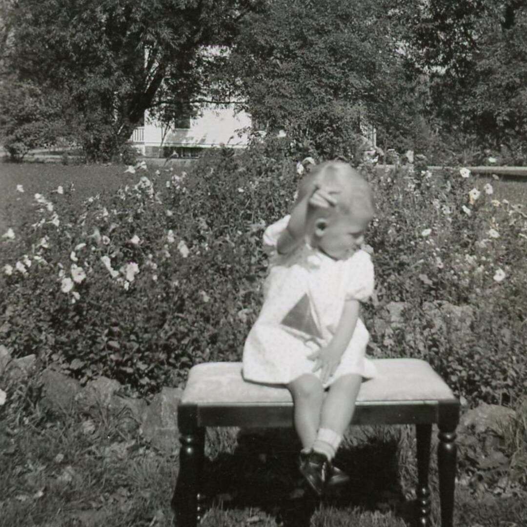 Vintage 1938 Photo - "little Sky Pointer" - 177 - Etsy