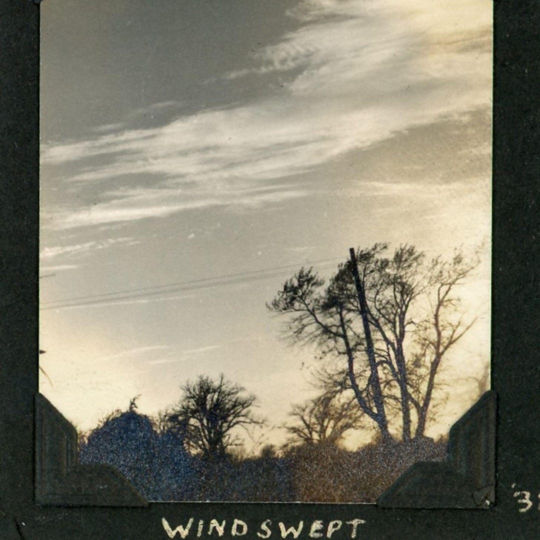Vintage 1938 Photograph, Still Attached to Album Paper - "windswept ...