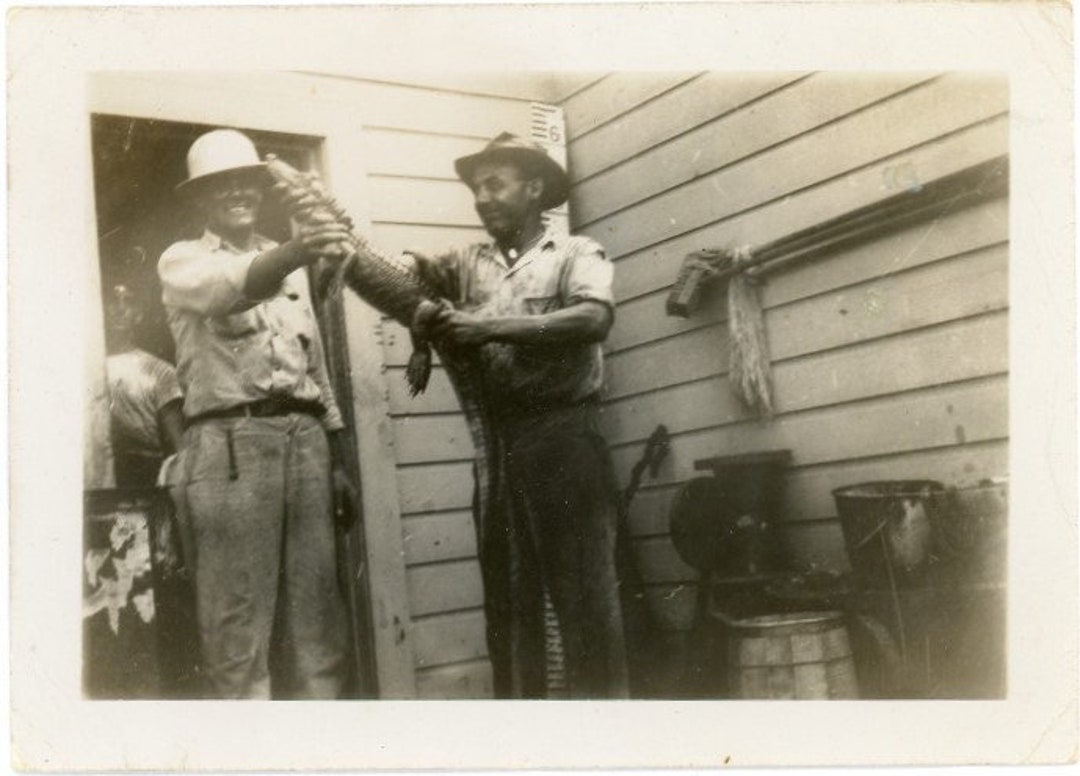Vintage Snapshot catching Alligators Man Holding Swamp Louisiana ...
