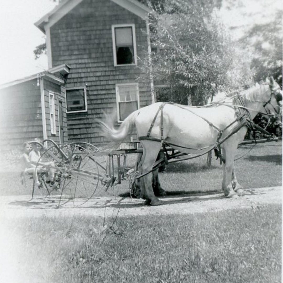 Vintage Snapshot - "horse Dream Adventures" - Farm Children Animals ...