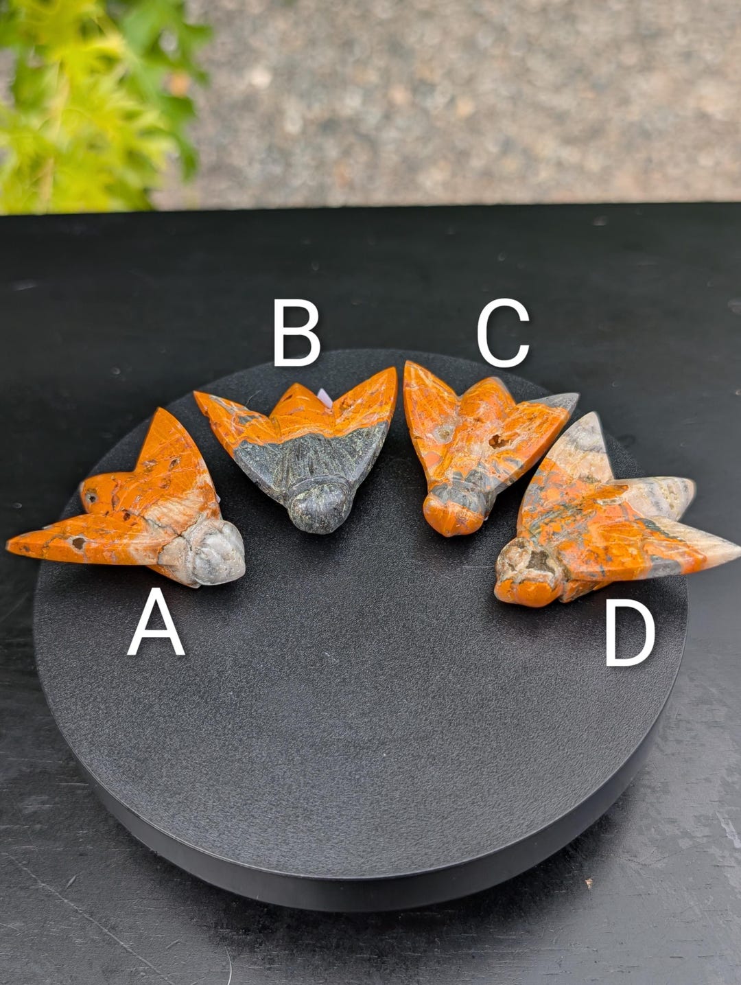 Yellow Jasper Wasp/moth Carving | Choose Your Piece Crystal Decor - Etsy