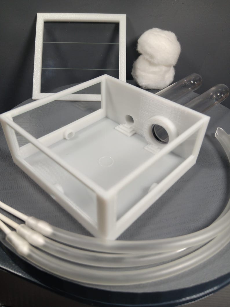 Ant Farm Starter Kit Outworld and Test Tubes for Small and Medium Sized ...