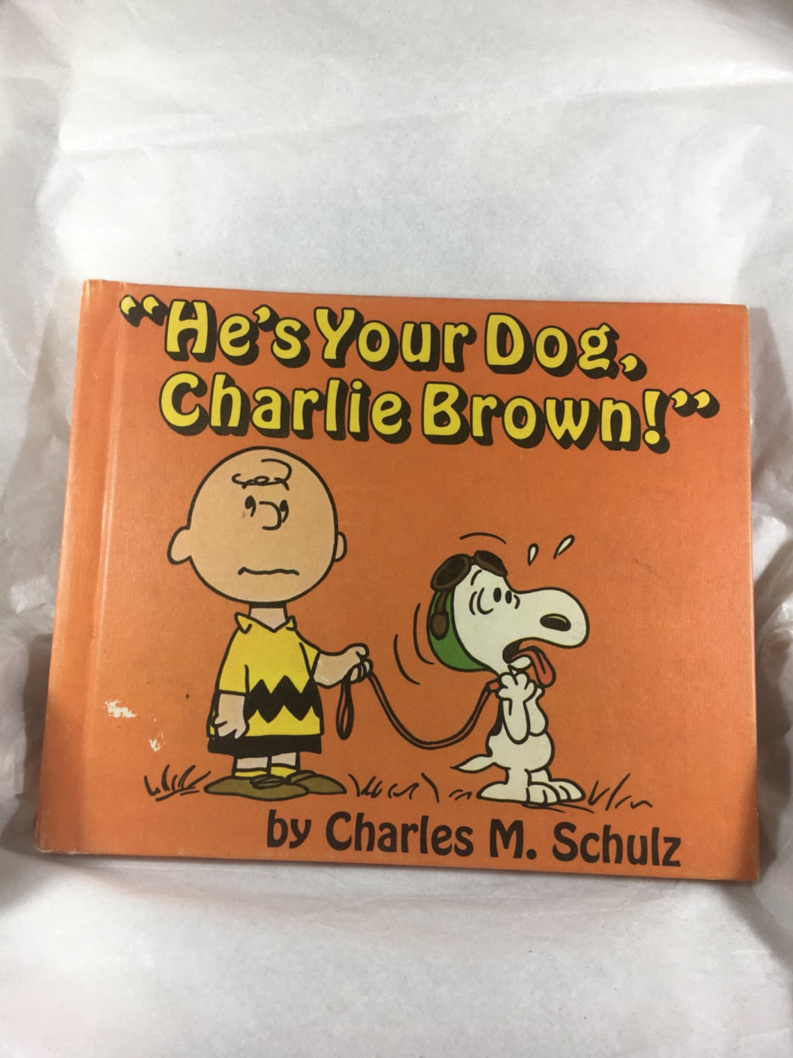 Charlie Brown childrens book peanuts gangsnoopy | Etsy
