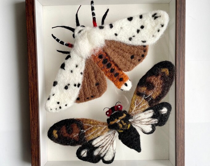 Needle Felted Luna and Zephyr Moth and Cicada Art - Etsy