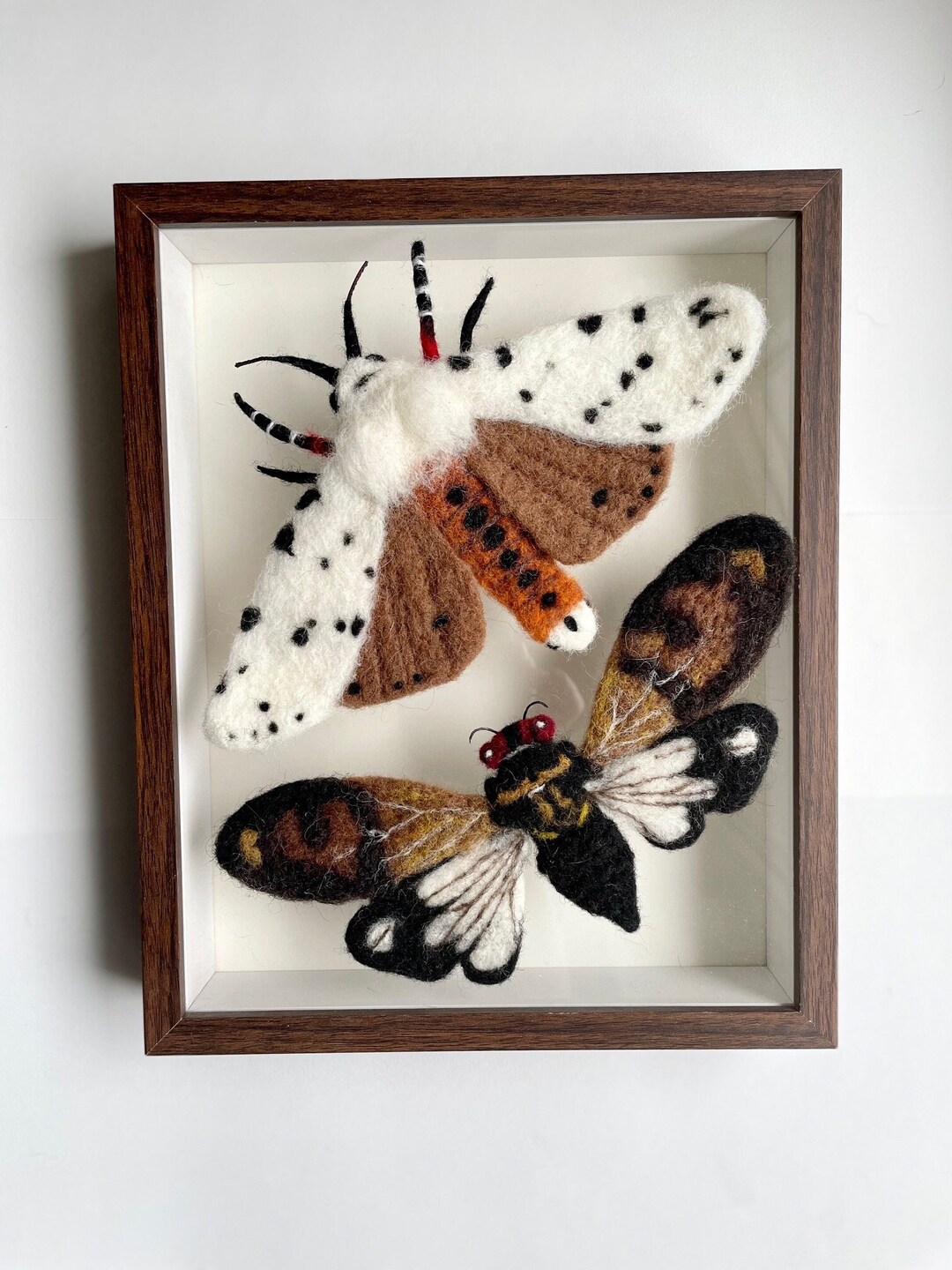 Needle Felted Luna and Zephyr Moth and Cicada Art - Etsy