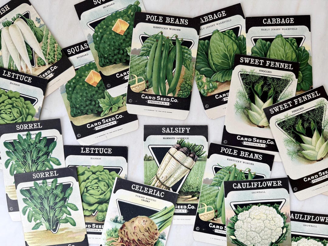 Vintage Vegetable Seed Packets Antique Card Seed Co Fredonia NY Flower ...