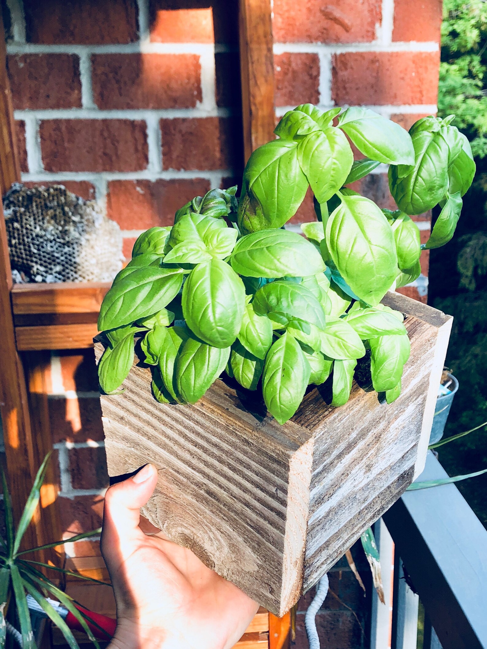 Herb Garden Boxes Rustic Planter Boxes Reclaimes Wood - Etsy