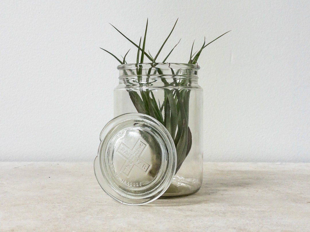 Vintage Medical Sani Jar Pharmaceutical Jar Canning Jar Clear Glass Jar ...