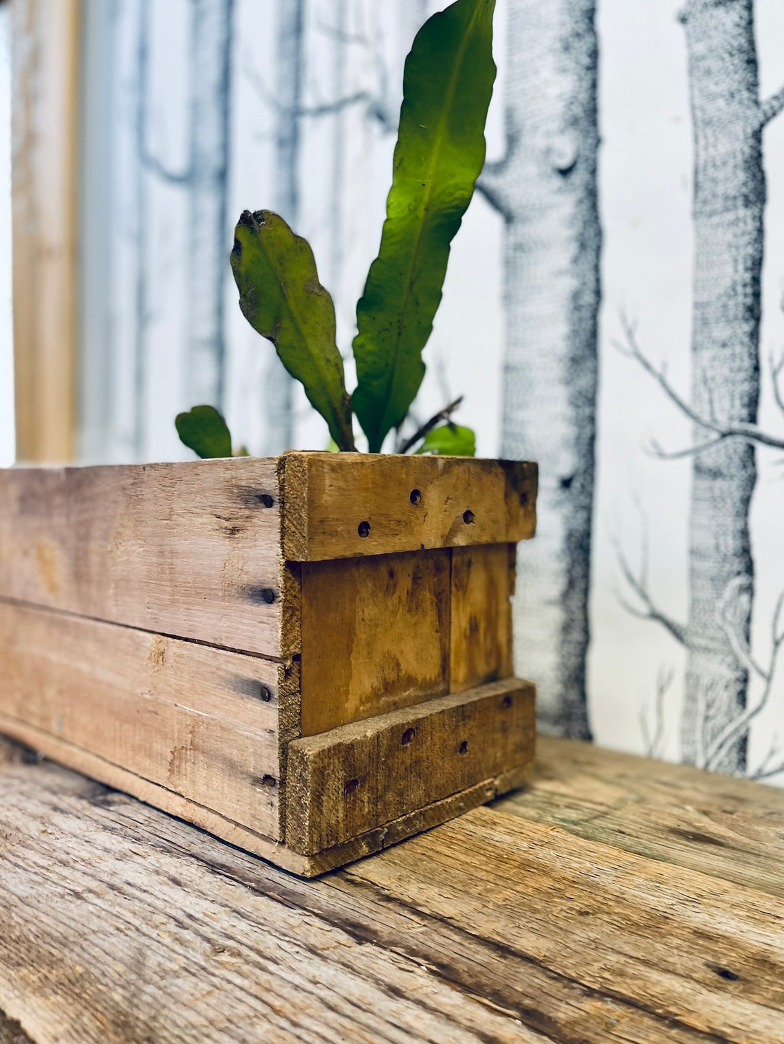 SALE Long Narrow Wood Crate Shelf Rustic Shelf Spice - Etsy