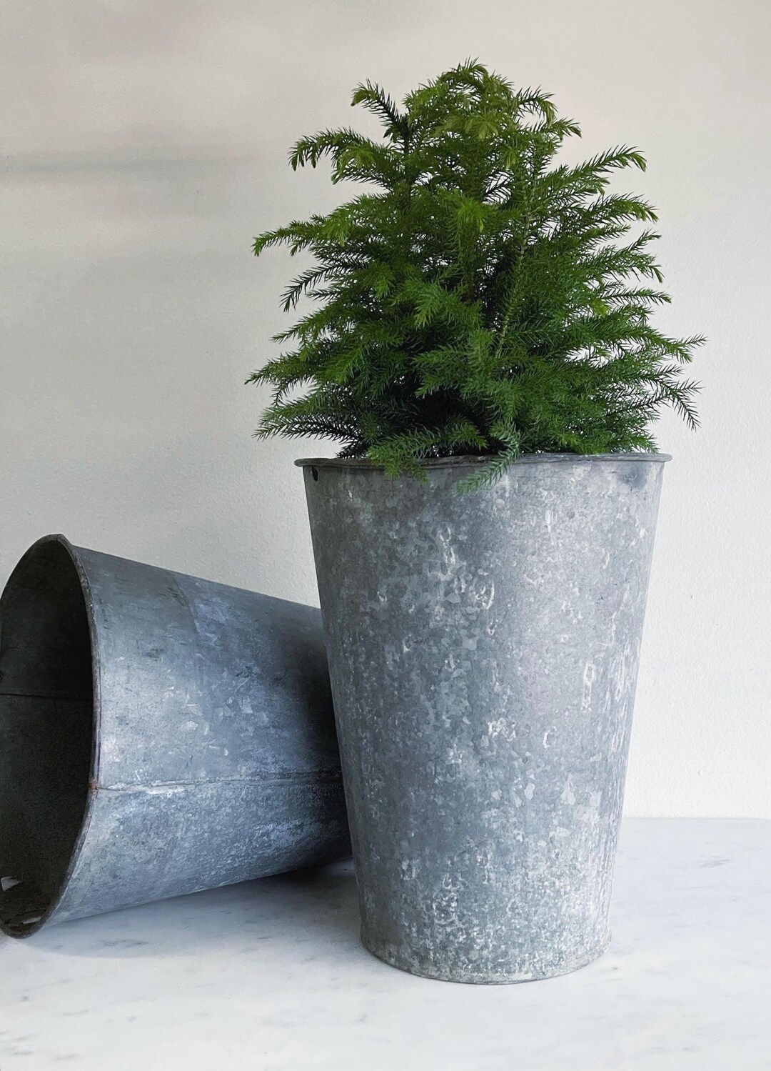 Vintage Metal Sap Bucket Galvaized Metal Bucket Rustic Primitive ...