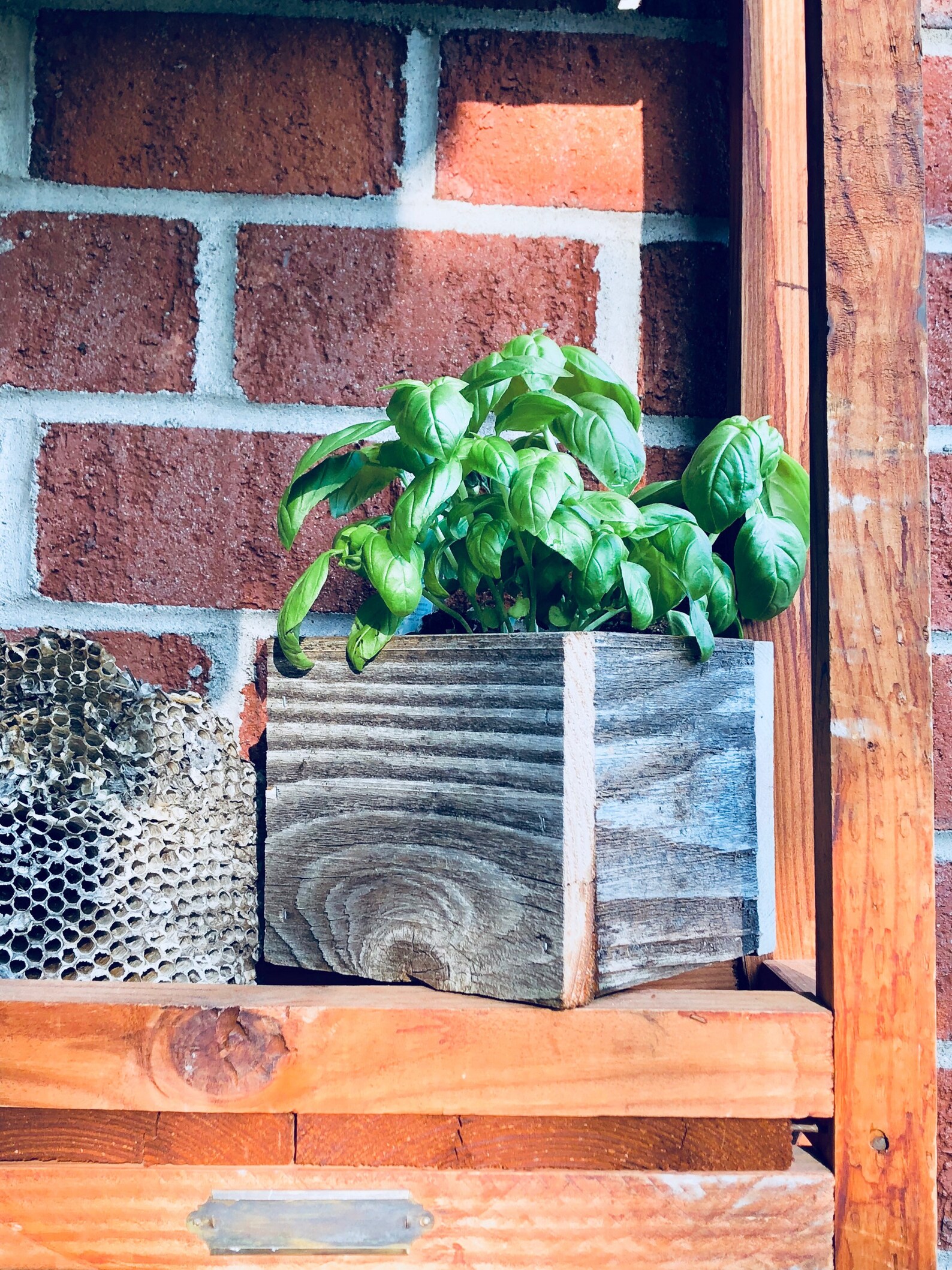 Herb Garden Boxes Rustic Planter Boxes Reclaimes Wood - Etsy