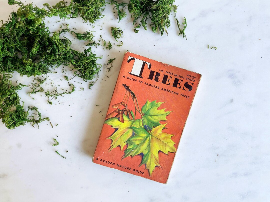 Vintage Golden Nature Guide Trees Book Arboretum Dendrology Hiking ...