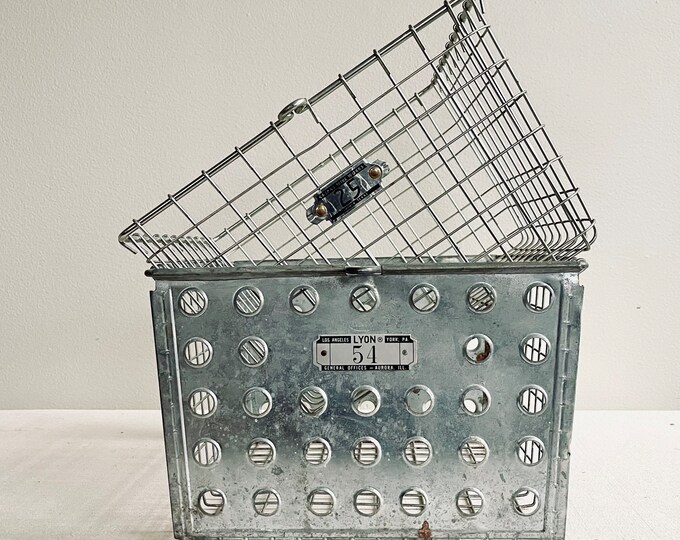 Vintage Locker Basket 54 Single Industrial Storage Locker Basket ...