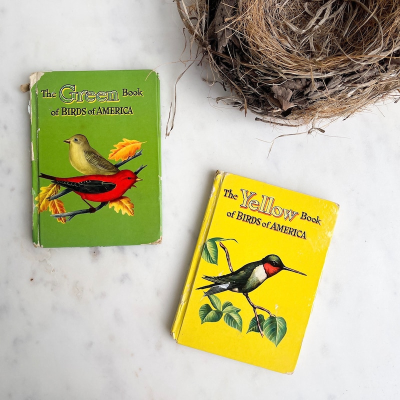 Vintage Bird Book - Etsy