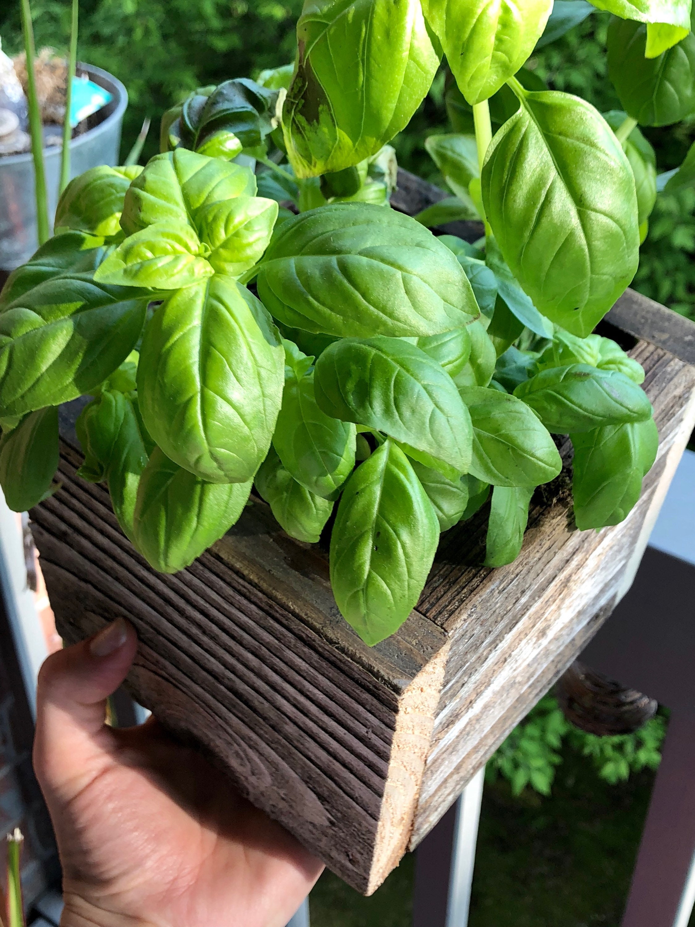 Herb Garden Boxes Rustic Planter Boxes Reclaimes Wood | Etsy