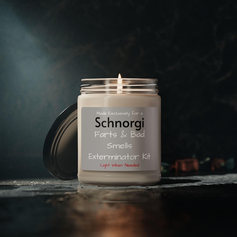 Schnorgi Candle Fart Bad Smell Exterminator Kit Scented Christmas Gift ...